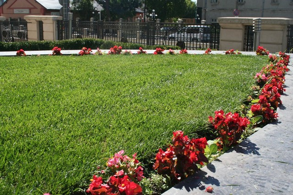 Gazon rulou - Magazin gazon rulou Neamt, Bacau, Iasi