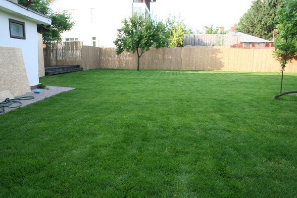 Gazon rulou - Magazin gazon rulou Neamt, Bacau, Iasi