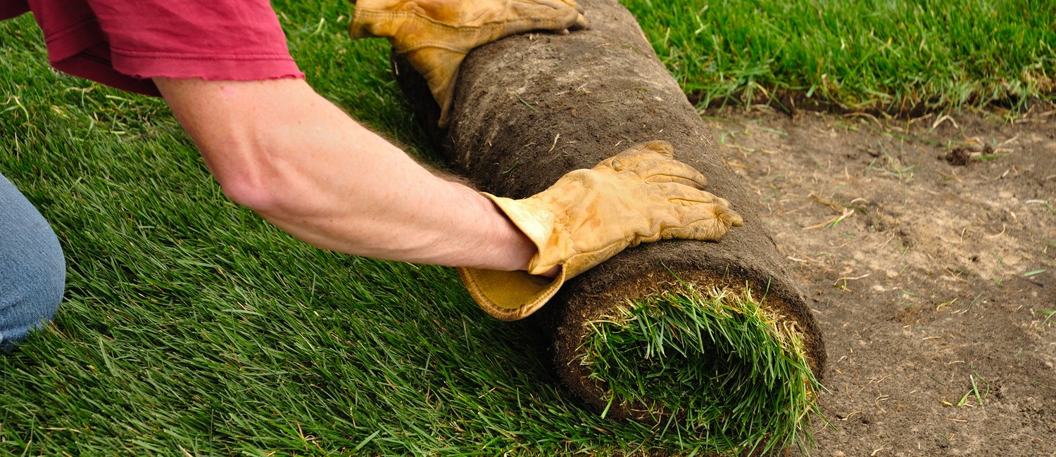 Flora Service - Rulouri gazon, rulou gazon, magazin si service rulouri ...